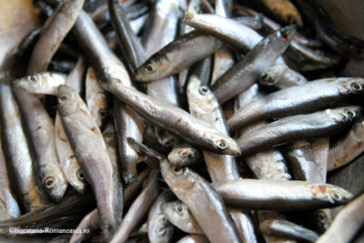 Hamsie prajita cu mamaliga si mujdei - Bucataria Romaneasca.ro